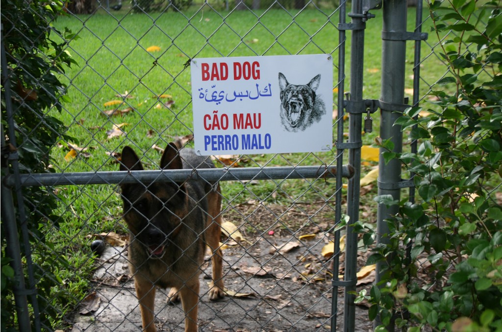 Beware of Dog Sign – K9 Training Equipment: